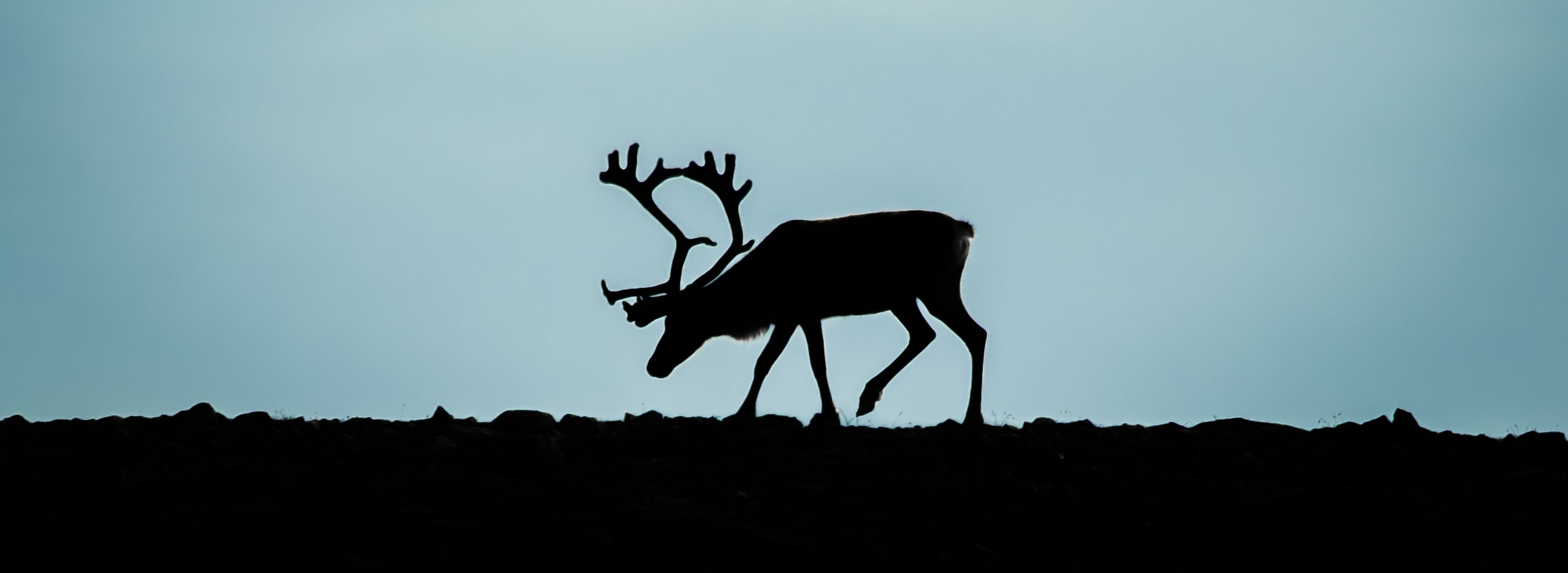 Master's Thesis: Wind power may pose an existential threat to the Sámi ...